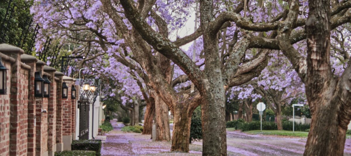 Short-term Rental Management in Cape Town, Joburg, Dubai and Durban ...